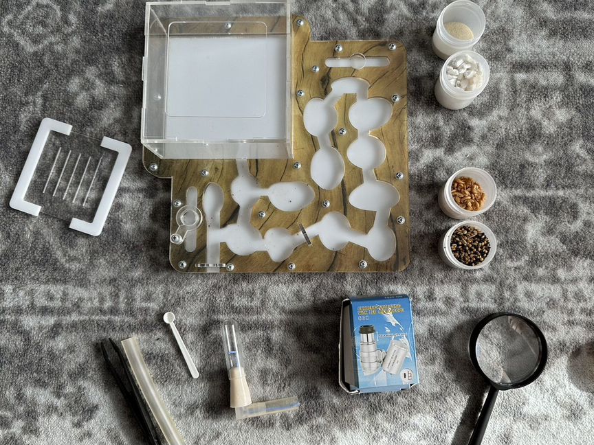 Муравьиная ферма "под ключ"