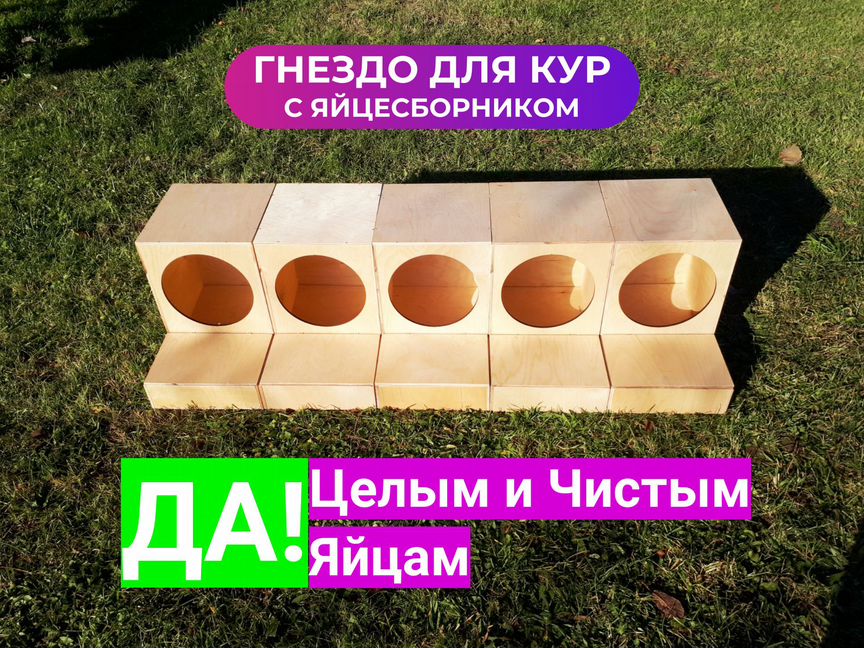 Гнездо для кур несушек с яйцесборником