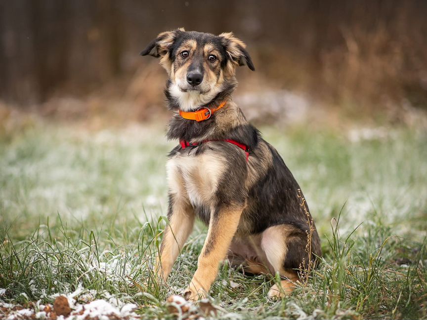 Берточке 4 месяца