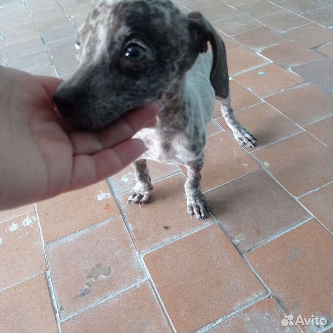 Спасите малыша прошу вас)