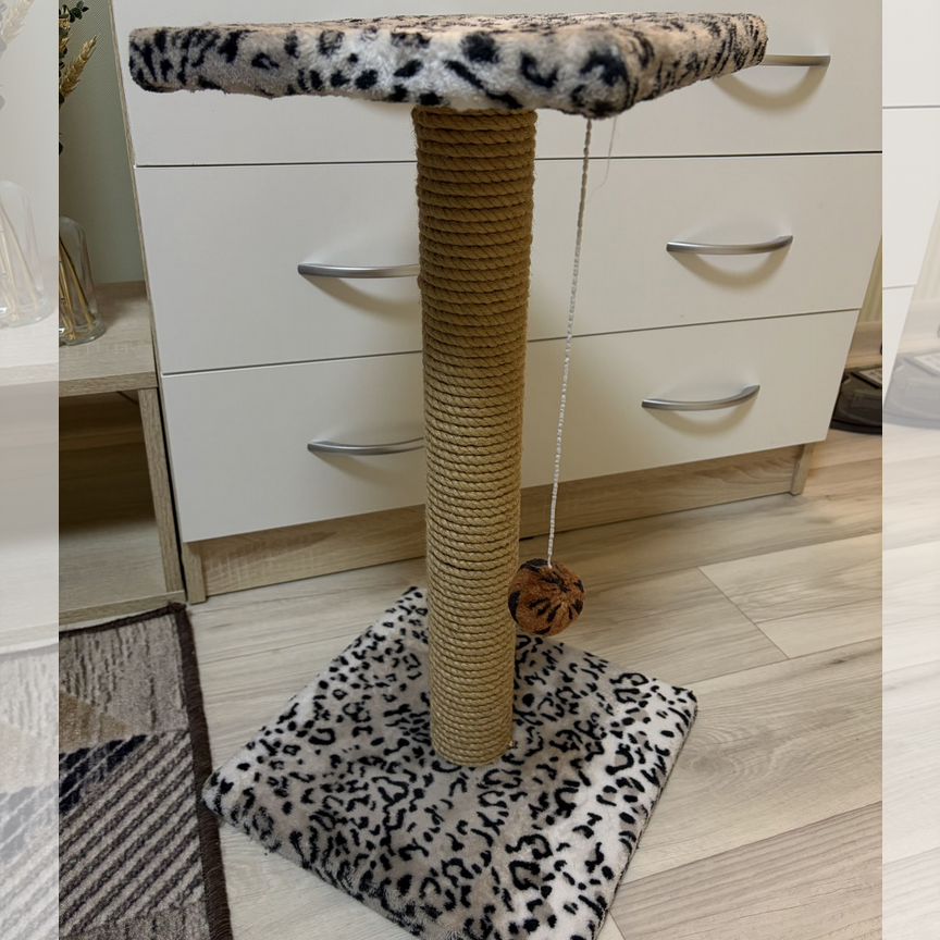 Когтеточка