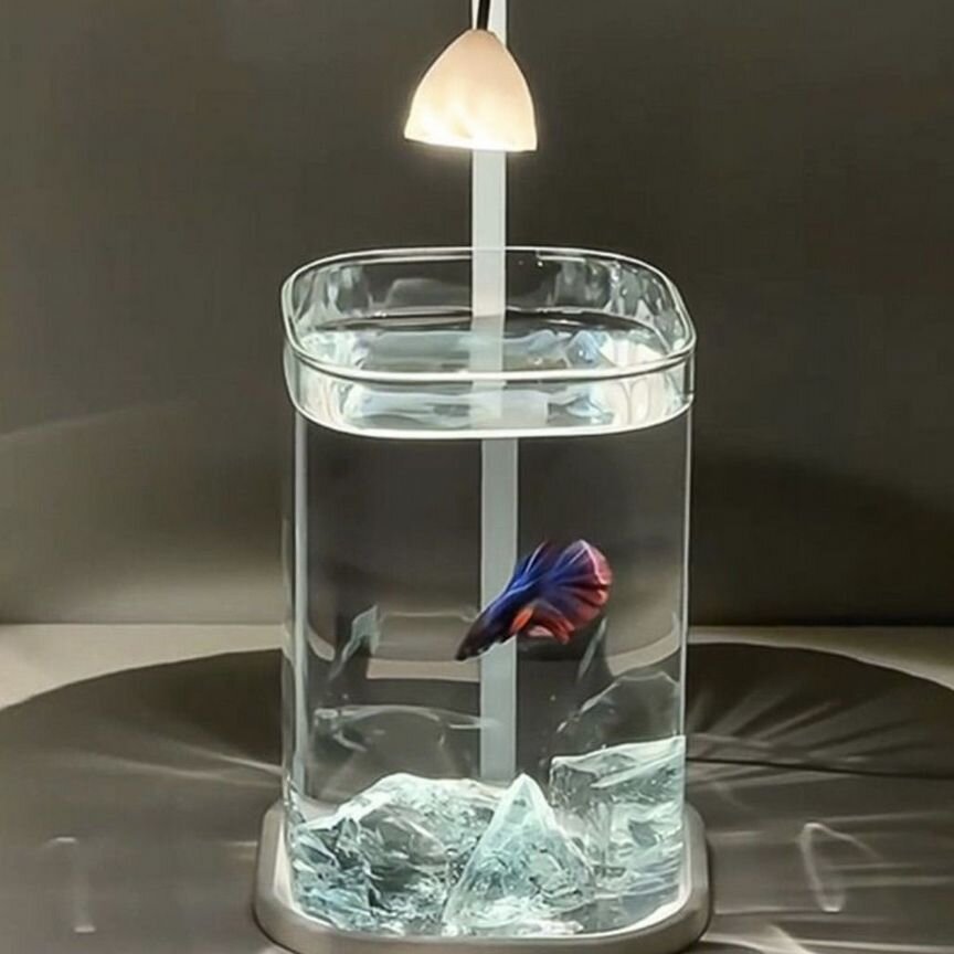 Настольный террариум-аквариум