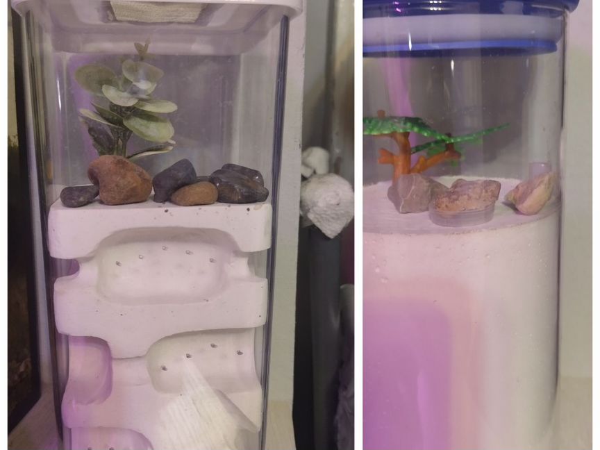 Формикарии