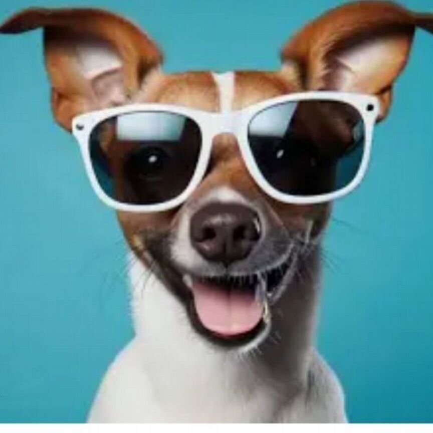 Прийму в дар аквариум