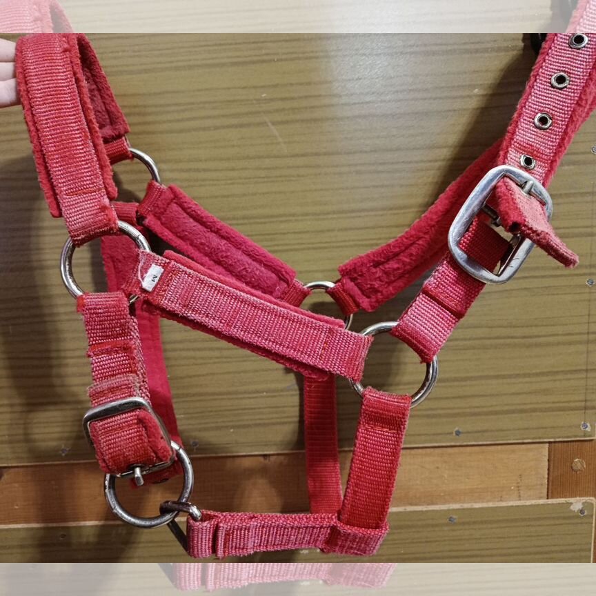 Недоуздок для лошади