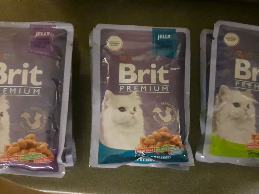 Brit для кошек