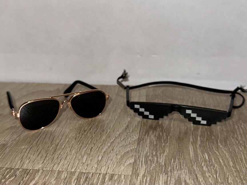 Очки для животных