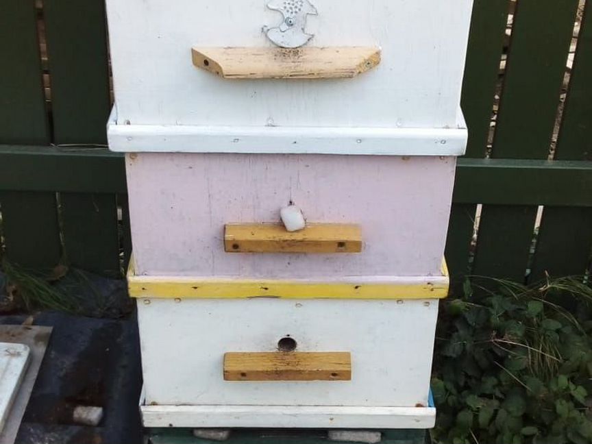 Продам улей для пчел