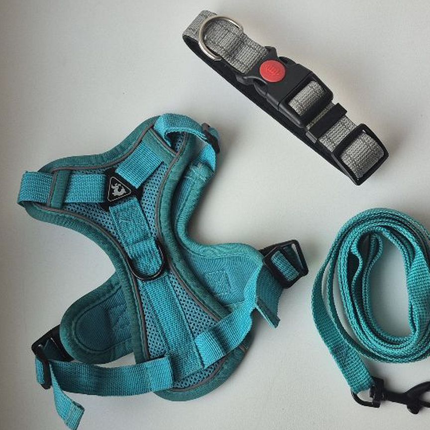 Шлейка для собаки, ошейник