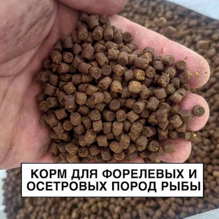 Корм для рыб