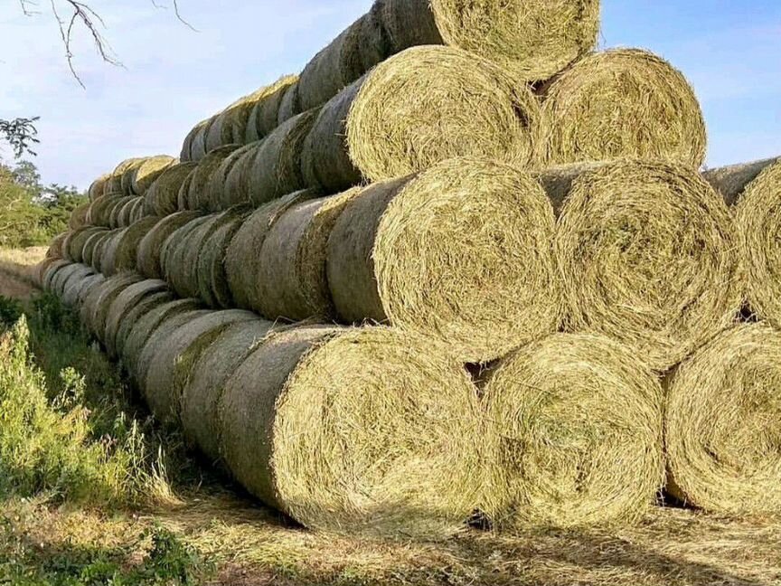 Продам сено в рулонах