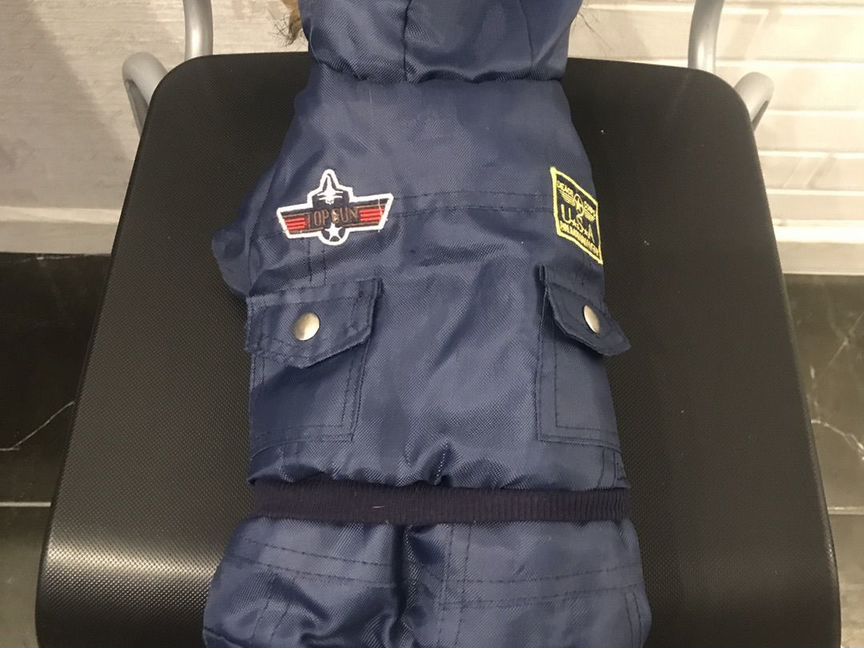 Одежда для маленьких собак