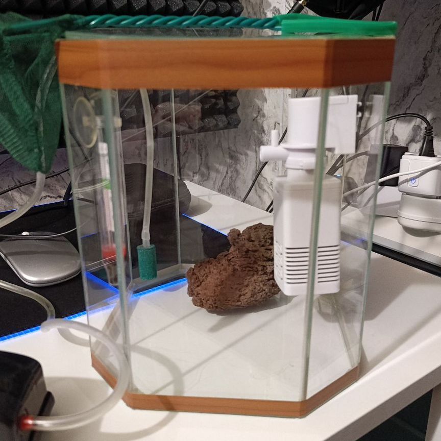 Аквариум (5 литров)