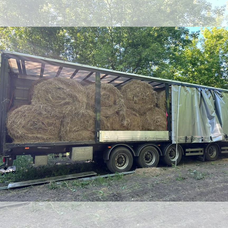 Сено с доставкой оптом