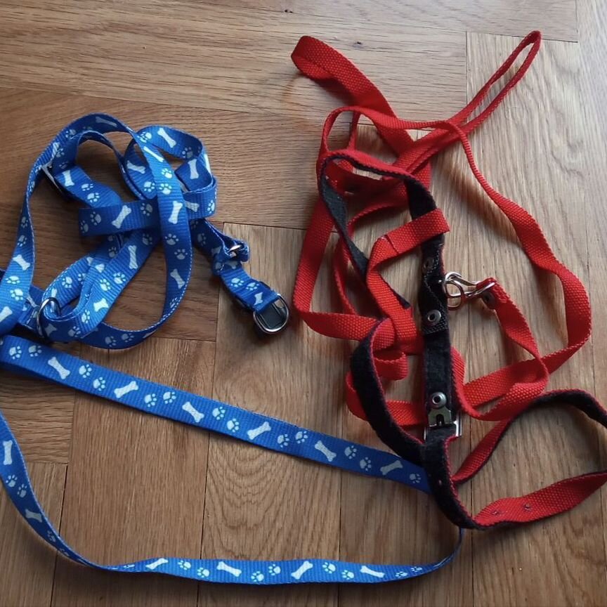 2 комплекта поводок со шлейкой