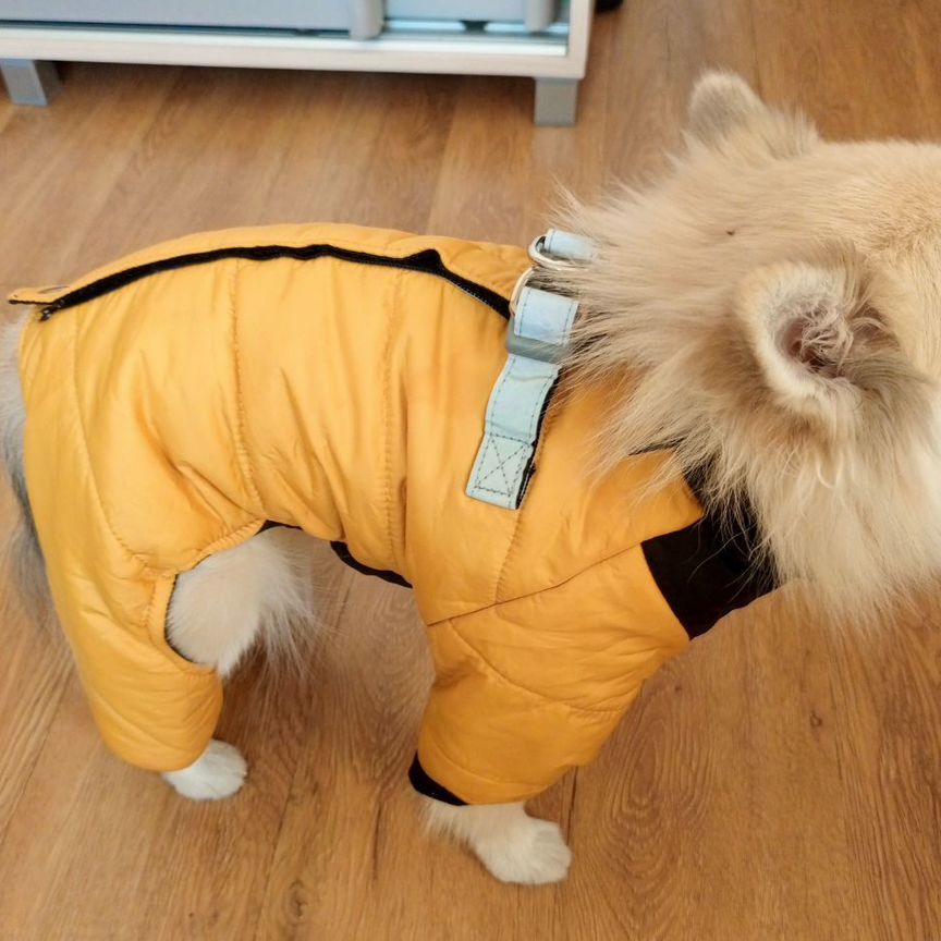 Одежда для маленьких собак м