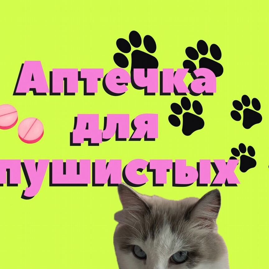Чек лист Аптечки для животных