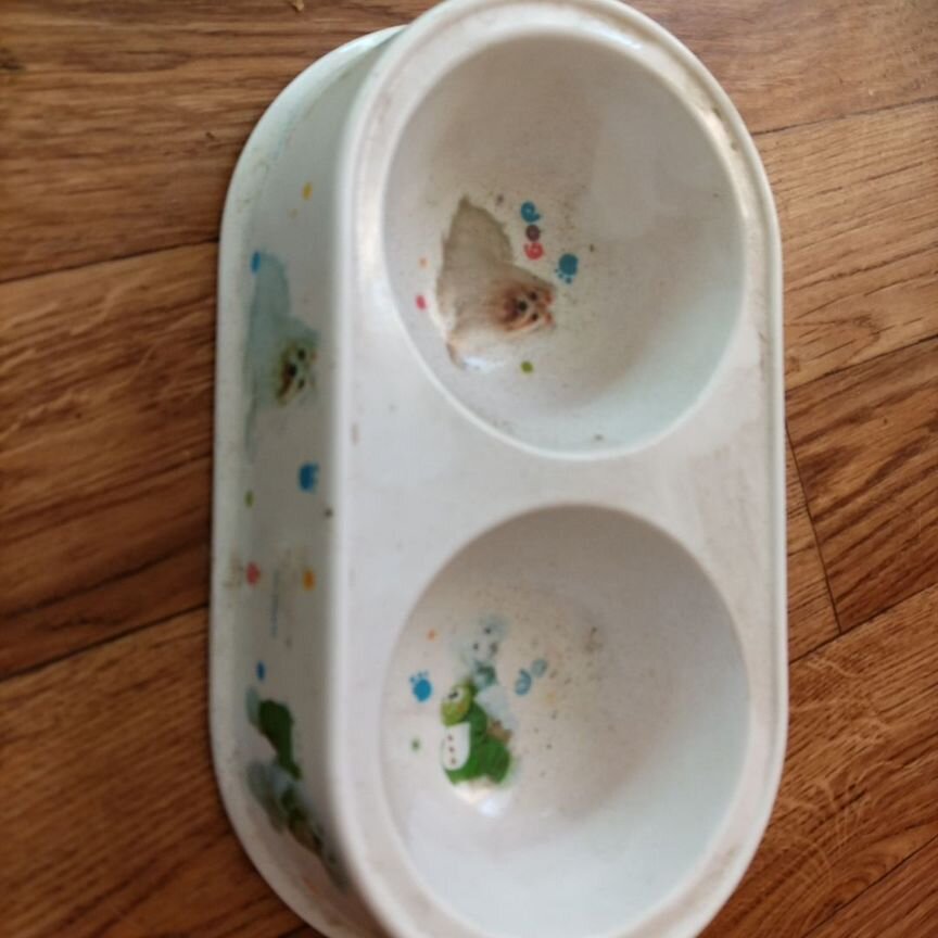 Миска для животных