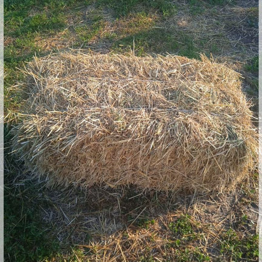 Солома в тюках