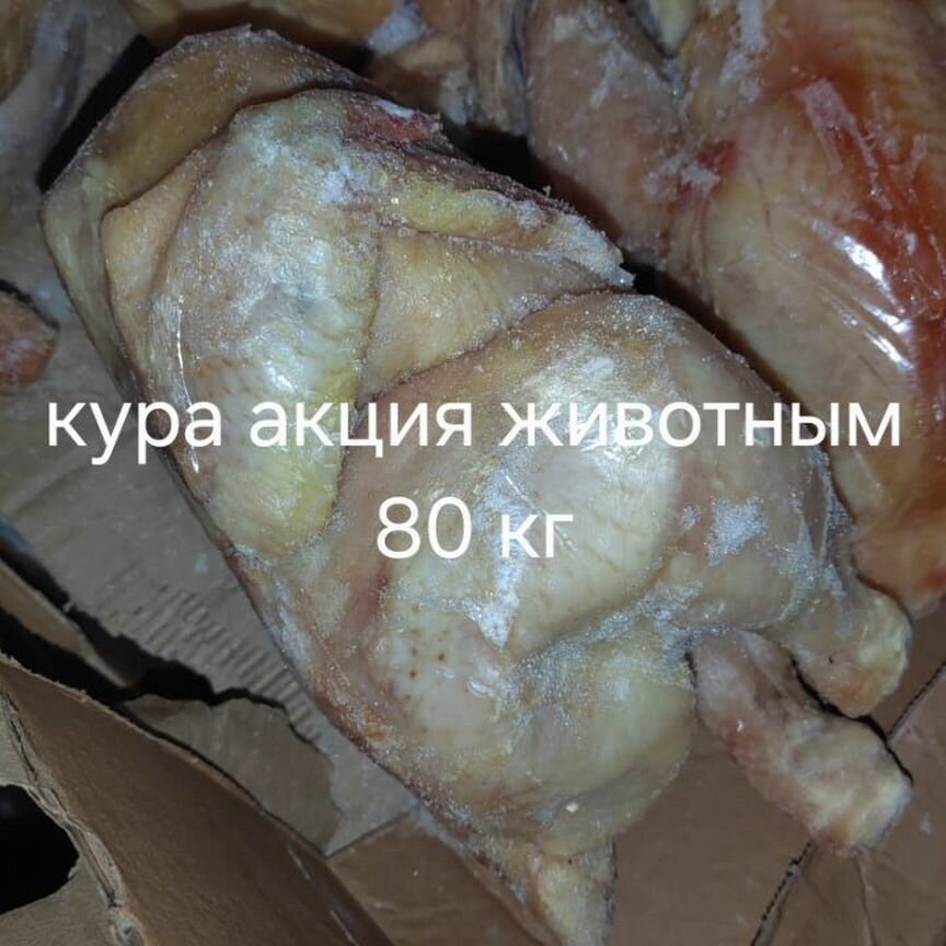 Кура и куриная разделка животным 80 р кг