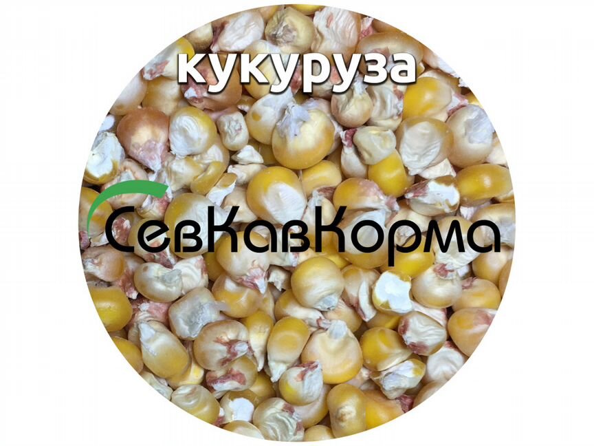 Кукуруза в мешках по 40, 10, 5 кг