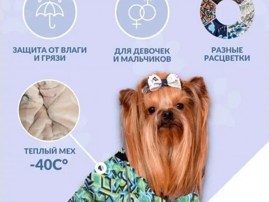 Одежда для маленьких собак м