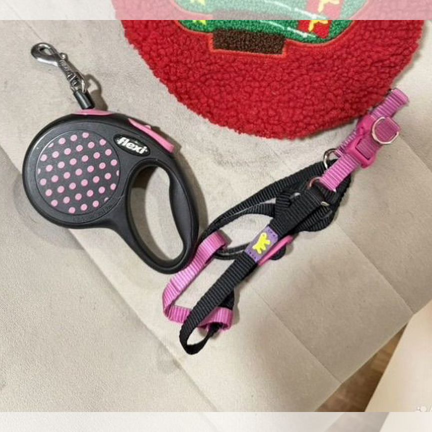 Шлейка поводок и рулетка flex