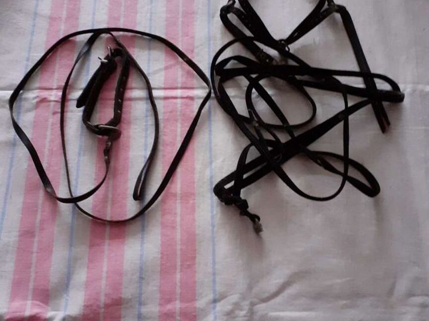 Ошейник для маленькой собаки