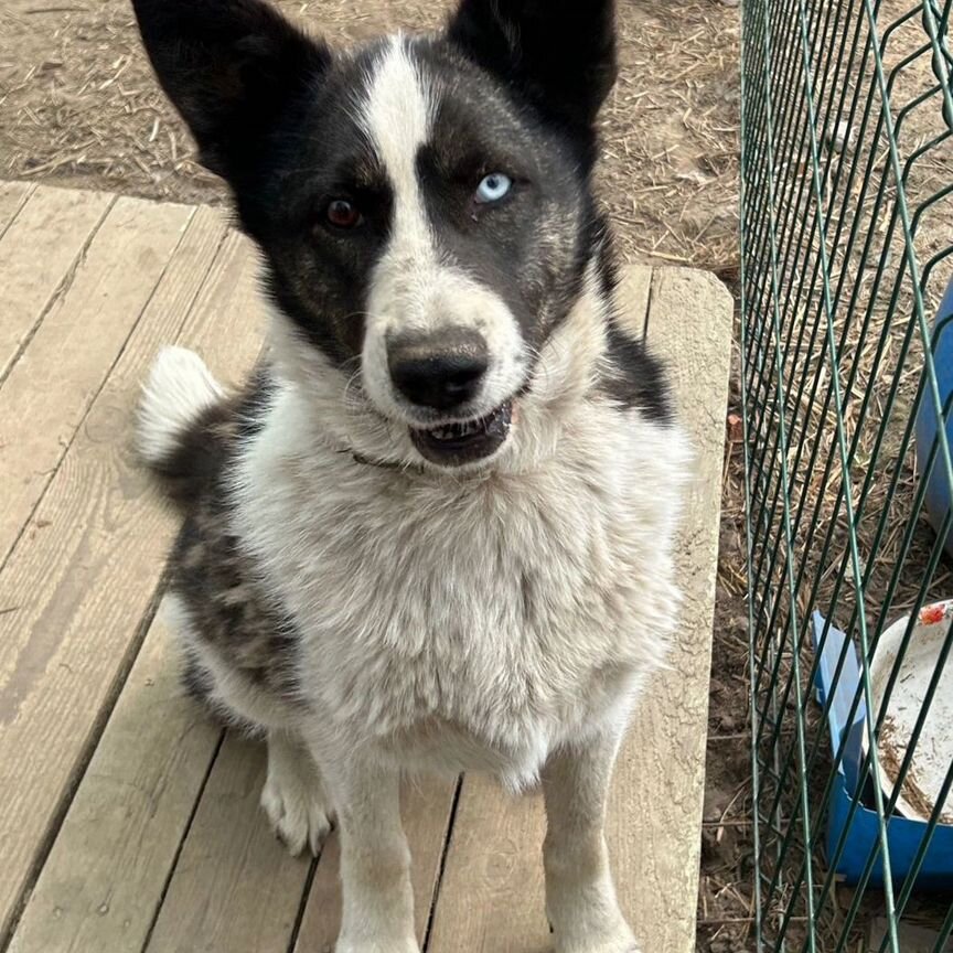 Альма ищет свою семью