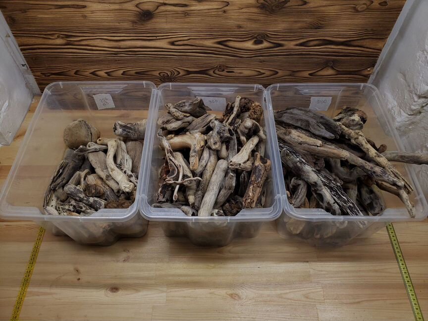 Коряги обмылки очень красивые твёрдые породы