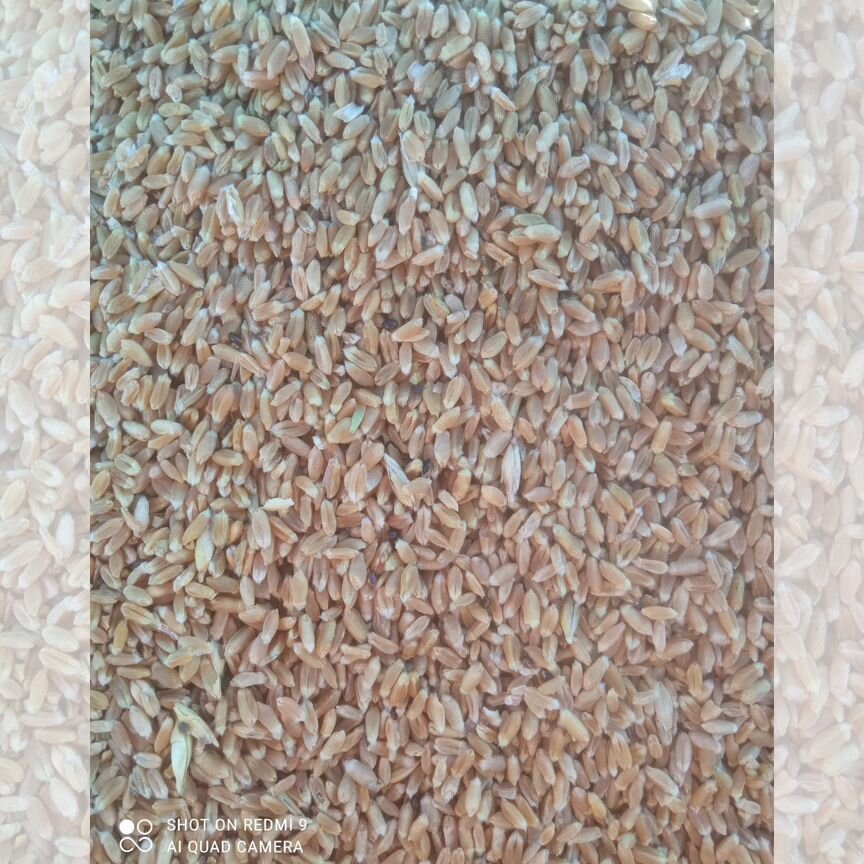 Зерно отходы. Корма для животных