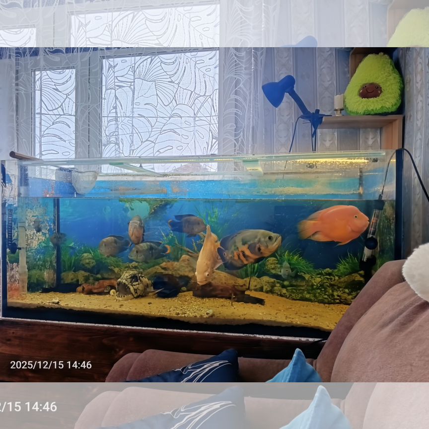 Аквариум 340 л полностью укомплектован