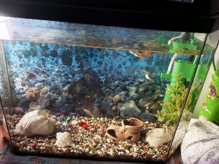 Аквариум