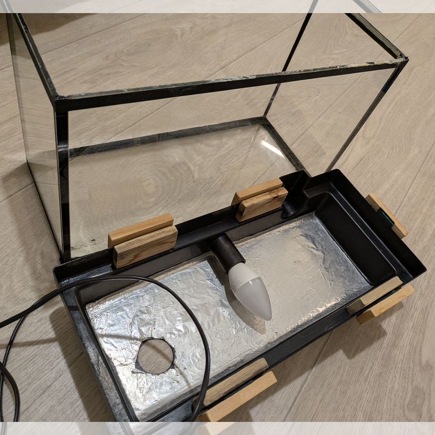 Аквариум и фильтр для аквариума