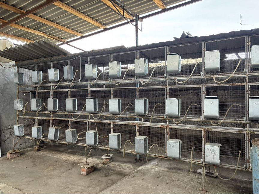 Кролятник металлический