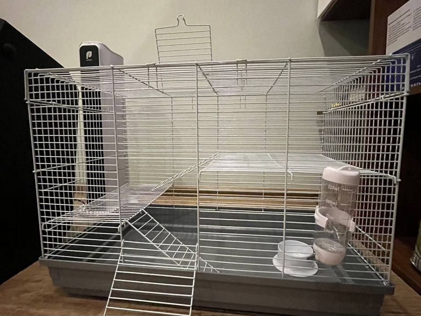 Клетка