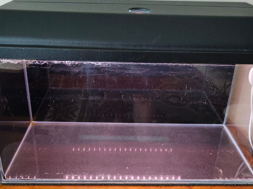 Аквариум и оборудование для него