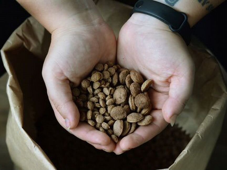 Сухой корм для собак на говядине 3кг, 10кг, 20кг