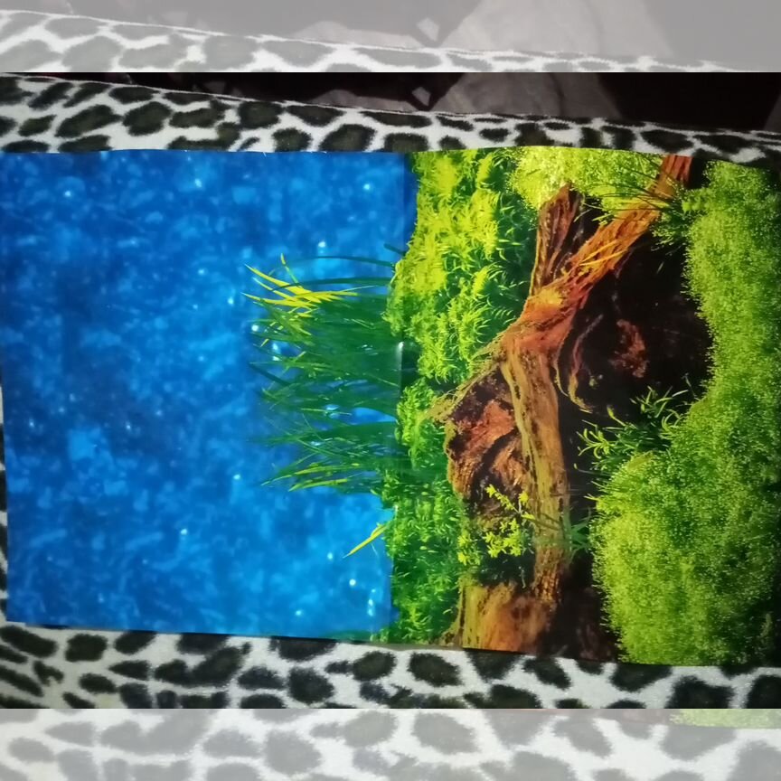 Фон для аквариума