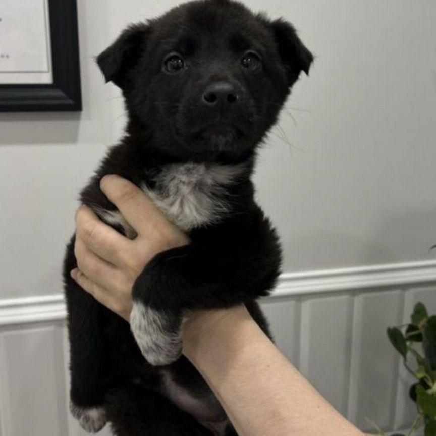 Малышка ждёт своих мампап