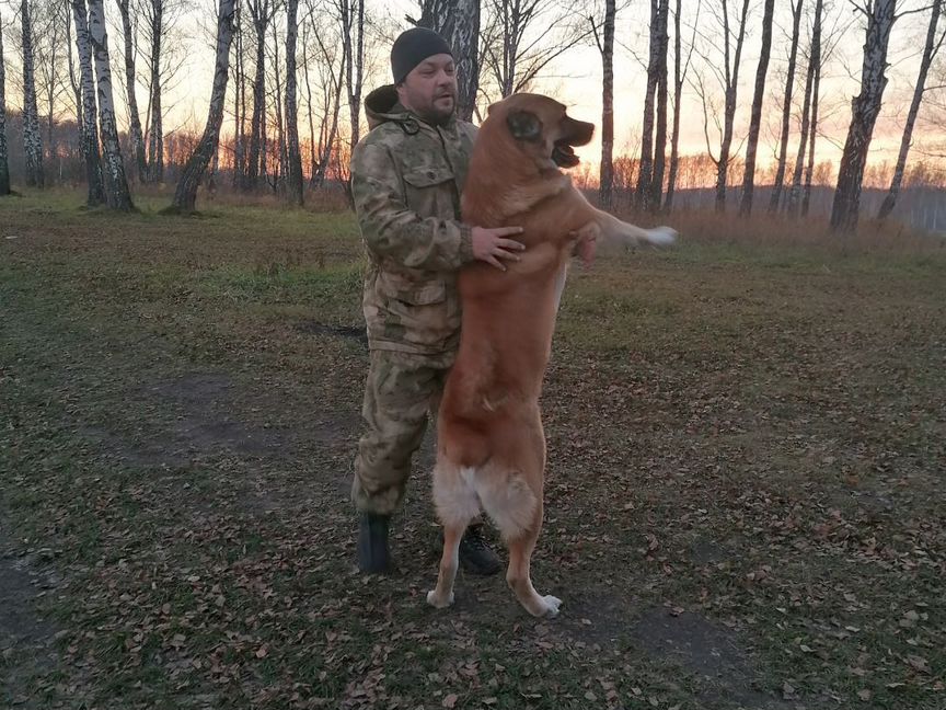 Ищем невесту