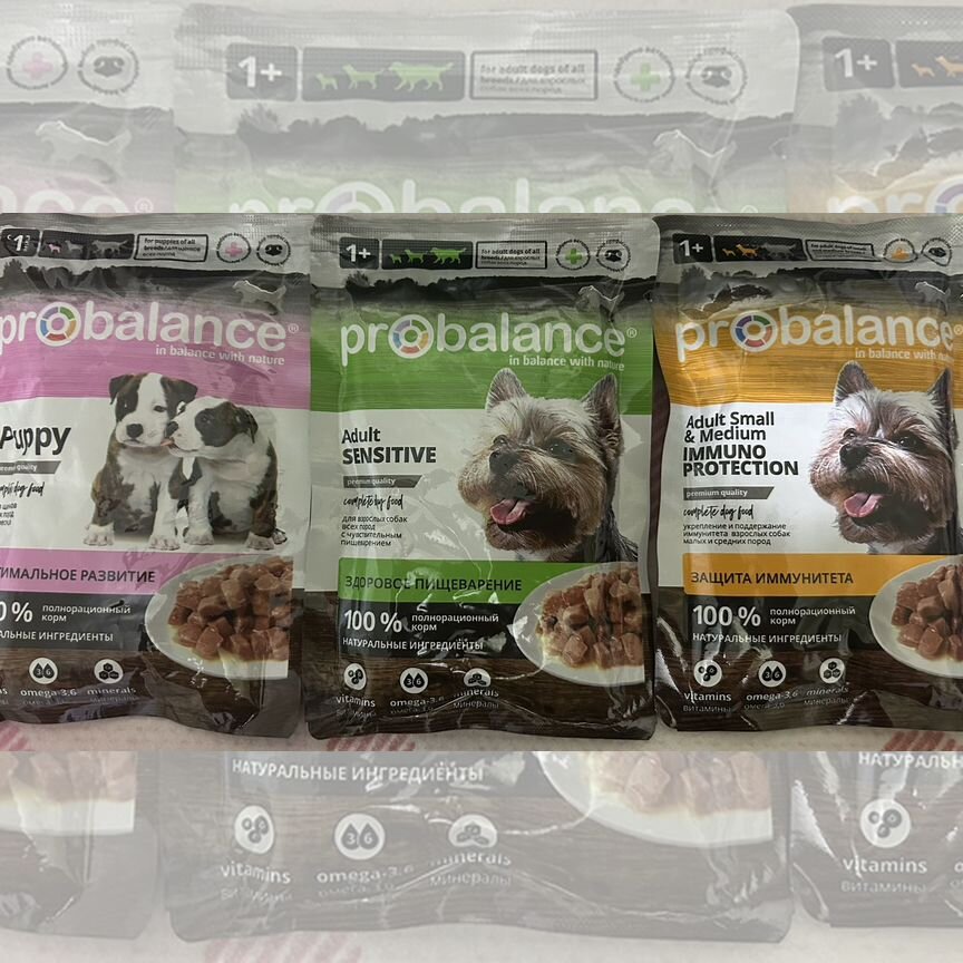 Корм для собак