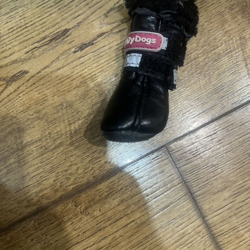 Ботиночки для собачки