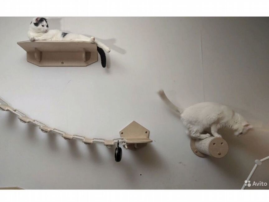 Игровой комплекс для кошек настенный