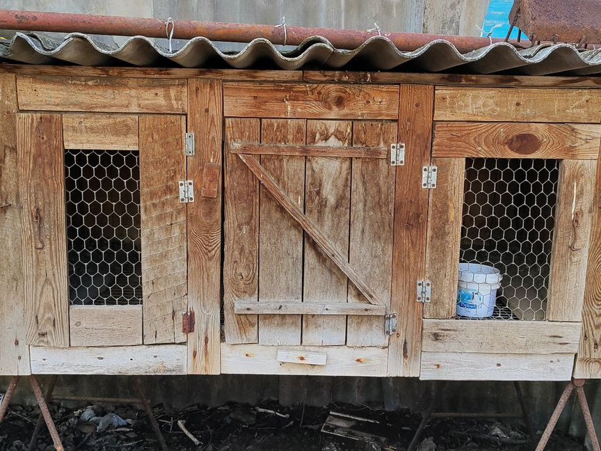 Клетка для кроликов с маточником