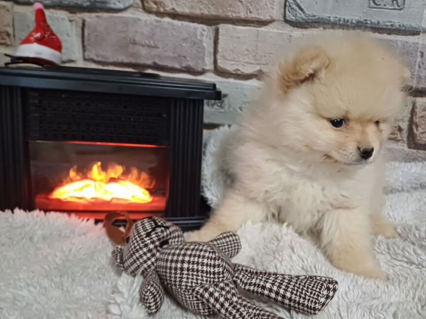 Меховые колобочки