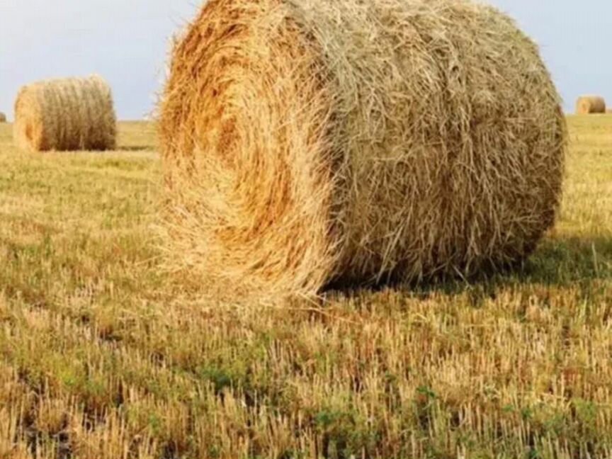 Солома в рулонах