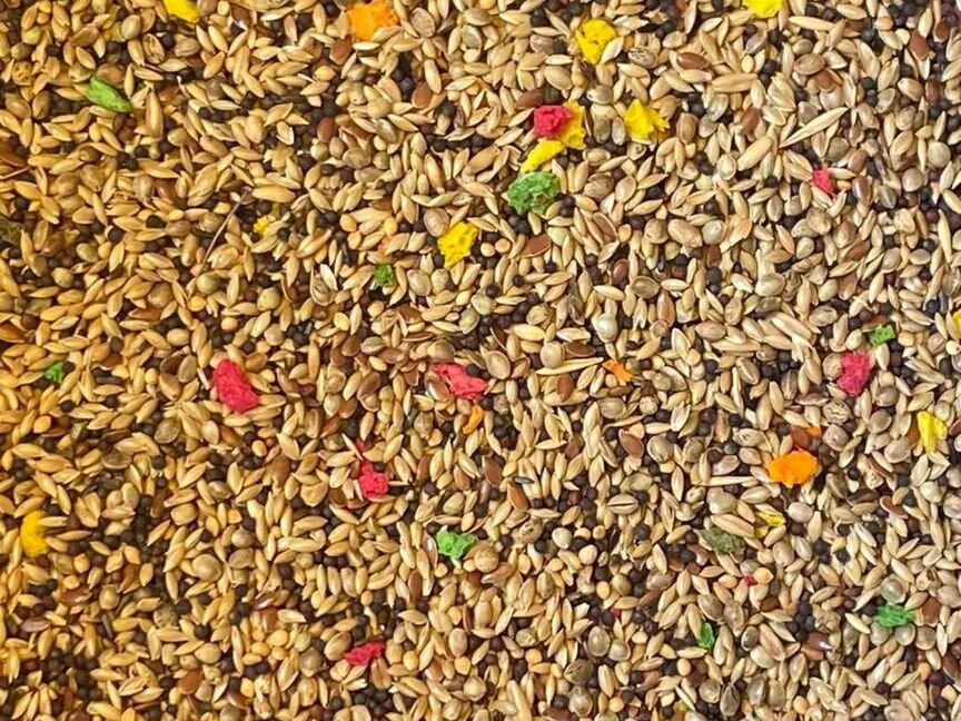 Корм для канареек корм для птиц