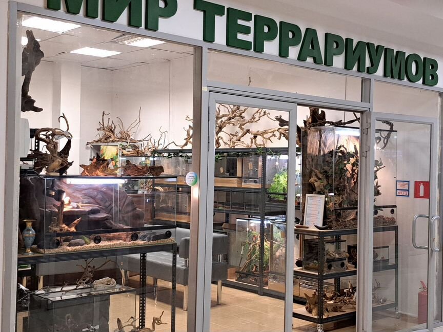 Террариум для рептилий