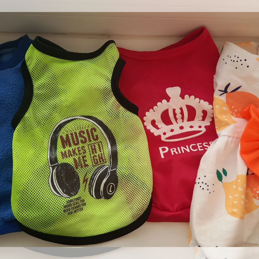 Вещи для маленькой собачки р.S